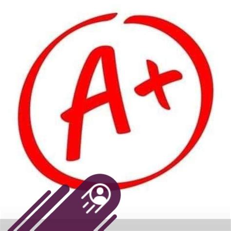 Assignment Helper India