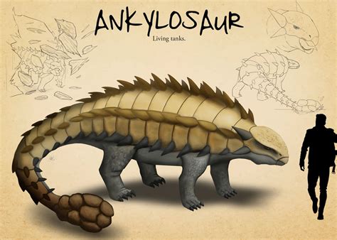 Ankylosaur Ankylosauria Novus By Emberandsparks On Deviantart