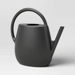 1gal Plastic Watering Can Room Essentials™ Target