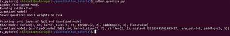 curious about faster ml models discover model quantization with