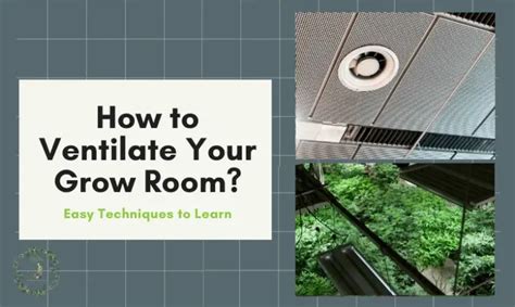 How To Ventilate Your Grow Room Easy Techniques To Learn