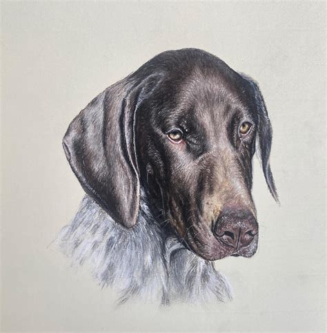 Thank You So Much For All Of The Kind Comments And Likes On My Recent