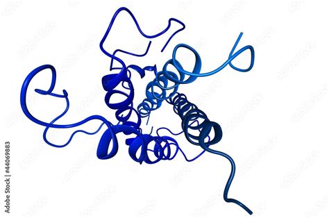 Human Growth Hormone Structure