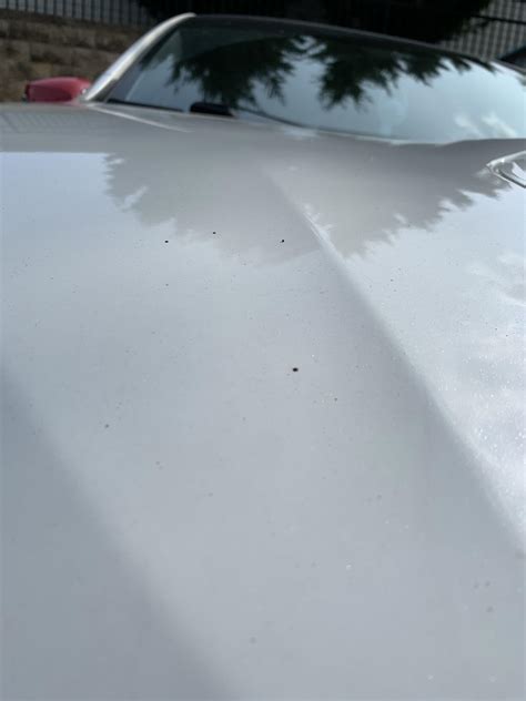 What Are These Tiny Black Dots All Over My Car Theyre Slightly
