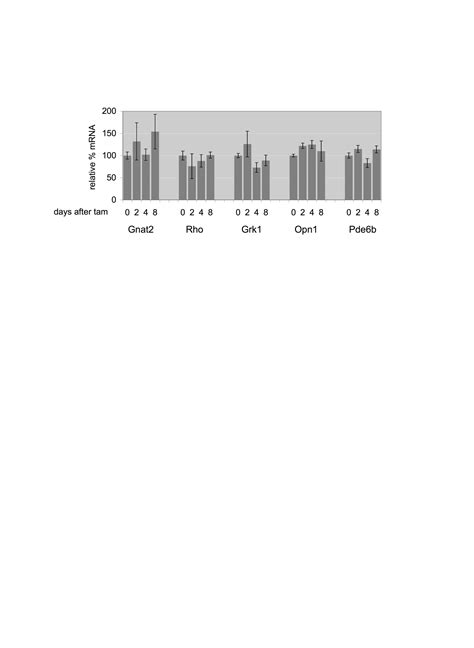 Otx2 Gene Deletion In Adult Mouse Retina Induces Rapid Rpe Dystrophy