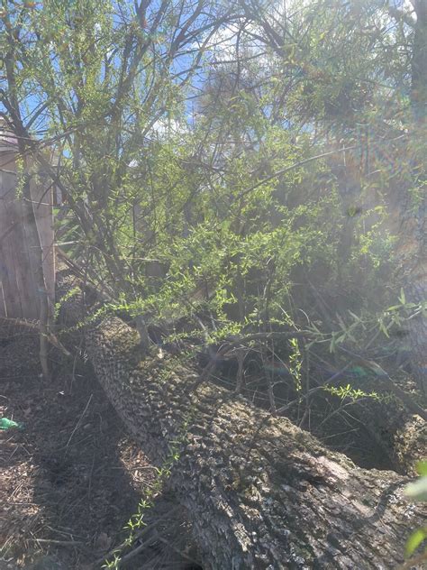 Mary Bonsell Mary Bonsell Added A New Photo