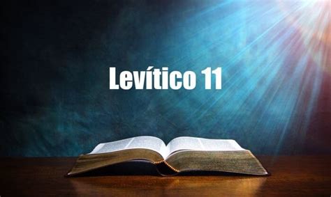 Levítico 11 Cultura Vegana