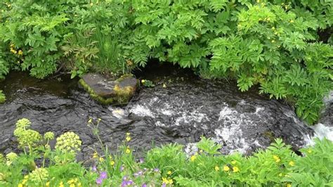 Stream Starting Soon Stock Video Footage For Free Download