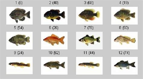 The Result Of A Single Iteration Of The Algorithm Based On Neural
