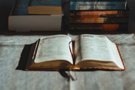 Top 10 Logical Fallacies How To Spot And Avoid Them By Usama Nisar