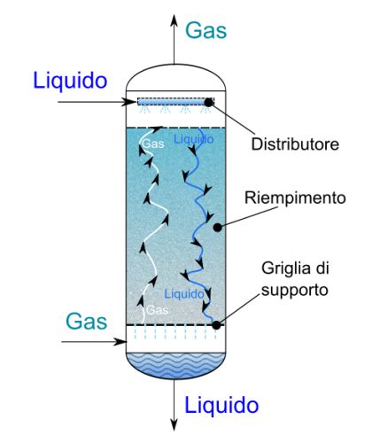 What Is The Difference Between Packed Column And Capillary Column