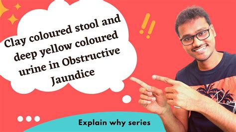 Clay Coloured Stool And Deep Yellow Coloured Urine In Obstructive Jaundice Why Youtube