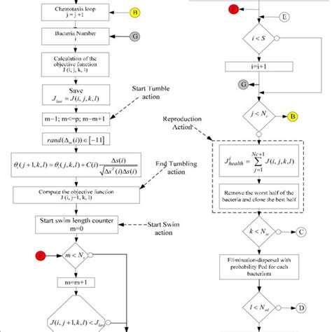a global diagram of the bacterial foraging optimization algorithm