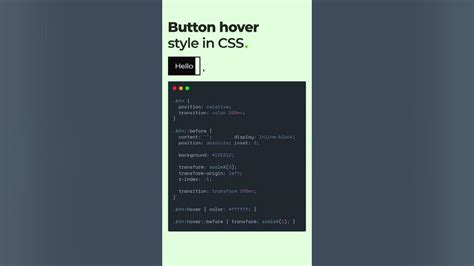 🖱️ Css3 Button Hover Styles Add Interactive Magic 🎨shorts