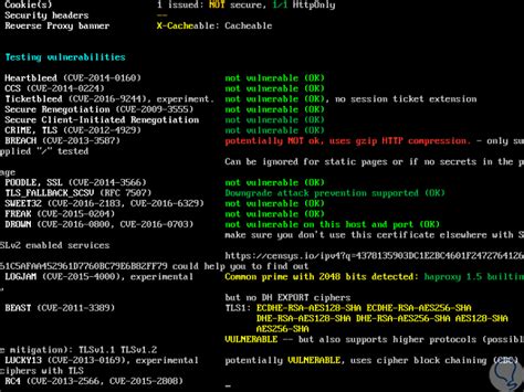 How To Use Testsslsh For Tls Ssl Encryption On Linux Ports