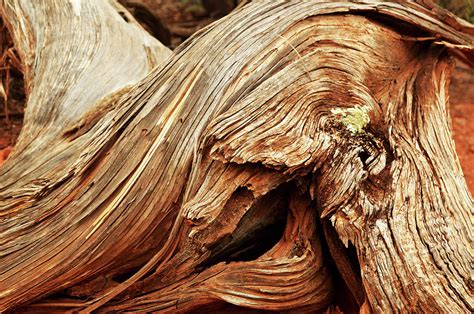 Twisted Vortex Photograph By Noelle Wheeler Fine Art America