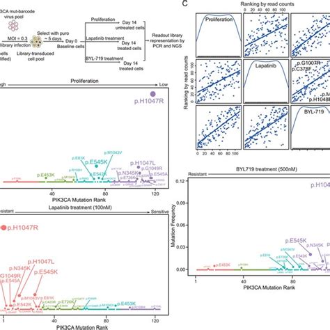 Pooled Mutations‐barcoding Screens For Functional Pik3ca Mutations