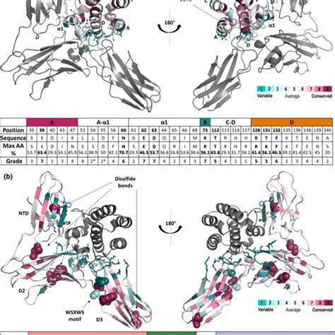 Evolutionary Conservation Analysis For Il 3 A And Il 3rα B
