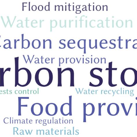 Classification Of Ses According To The Articles In The Database
