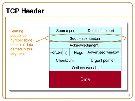 tcp ee 122 intro to communication networks ppt download