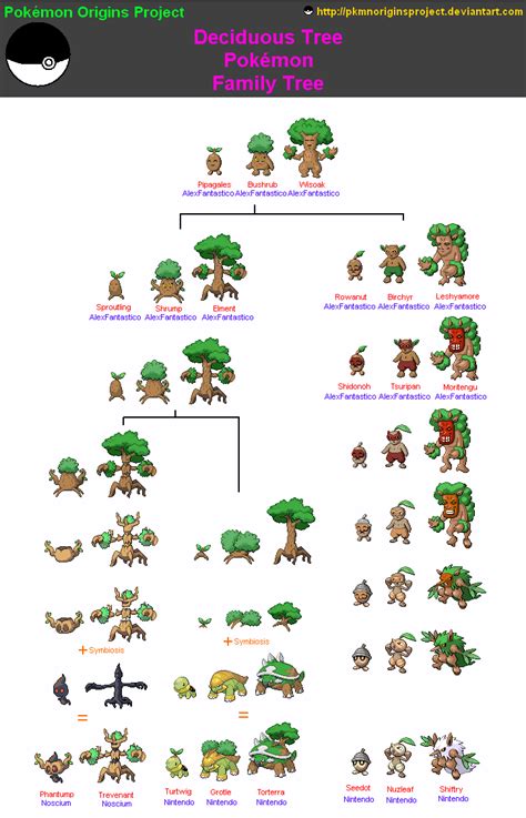 Deciduous Tree Pokemon By Pkmnoriginsproject O Pokemon Pokemon