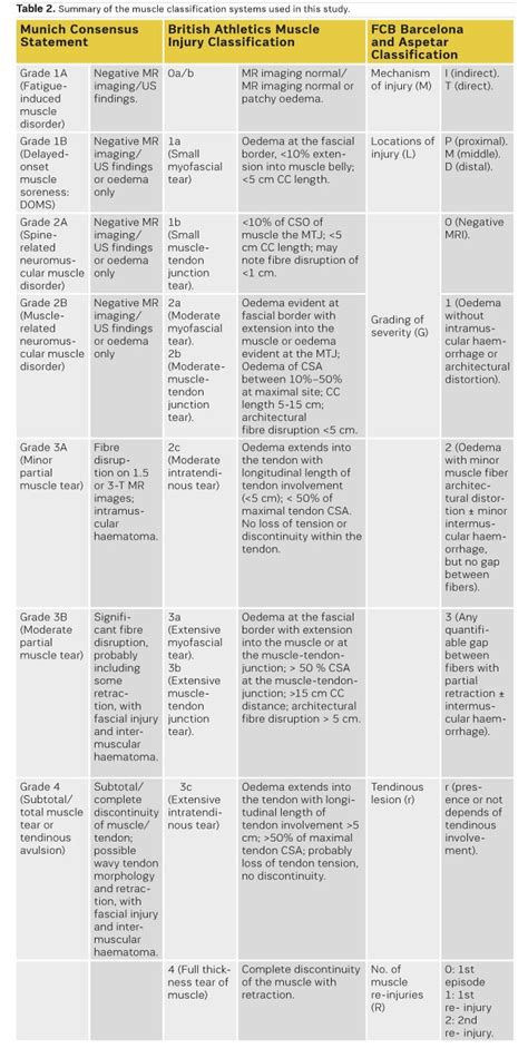 Critical Analysis Of Mri Based Classification Systems For Sport Muscle