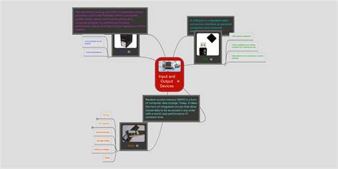 Input And Output Devices Mindmeister Mind Map
