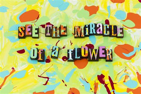 Miracle Flower Nature Natural Purity Believe Beautiful Stock