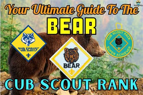 Earn The Bear Rank A Cub Scouts Ultimate Guide In 2025