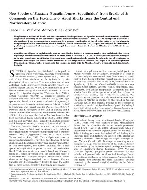 Pdf New Species Of Squatina Squatiniformes Squatinidae From Brazil