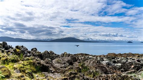 North Americas Deepest Fjord Is An Alaskan Oasis With Gorgeous