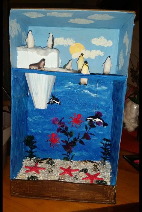 Arctic Habitat Diorama 2nd Grade Project Projetos De Arte Infantil