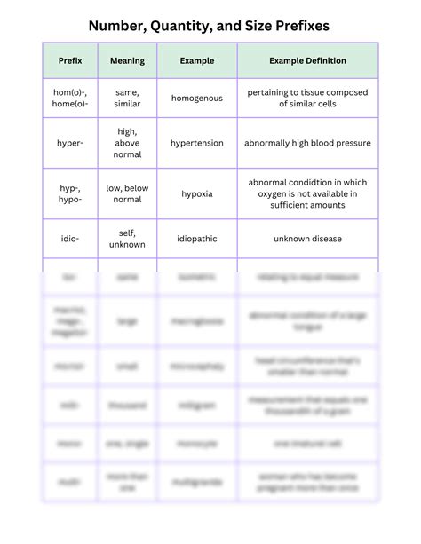 Solution Number Quantity And Size Prefixes Studypool