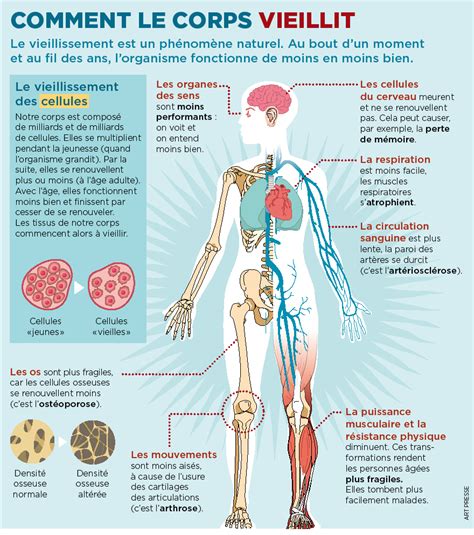 Playbac Presse Digital Journaux Jeunesse Le Petit Quotidien Mon