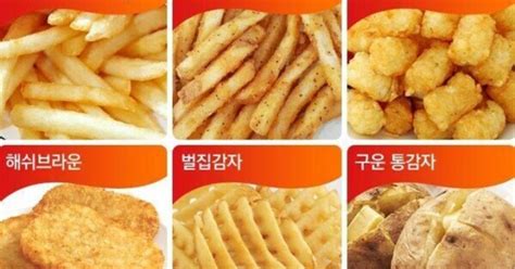 다양한 감자튀김 종류 Dprime