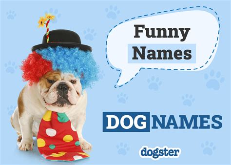 Funny Dog Pictures With Names