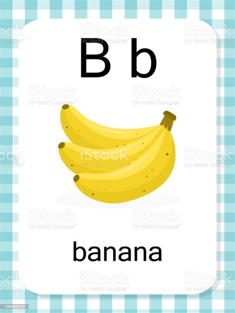 Letter B Vocabulary Flash Cards Flashcards Letter B