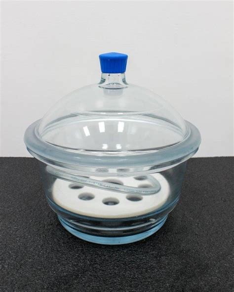 Bellco Glass Dessicator Standard 250mm Vacuum Laboratory Equipment 3377898