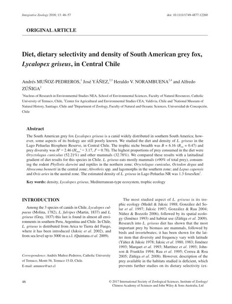 Pdf Diet Dietary Selectivity And Density Of South American Grey Fox