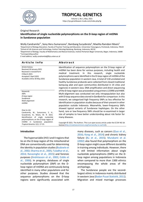 Pdf Identification Of Single Nucleotide Polymorphisms On The D Loop