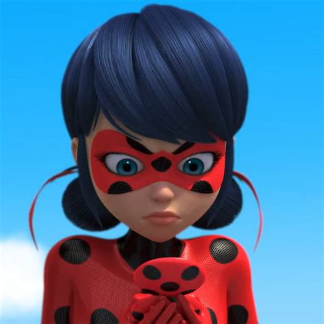 Ladybug Kuro Neko