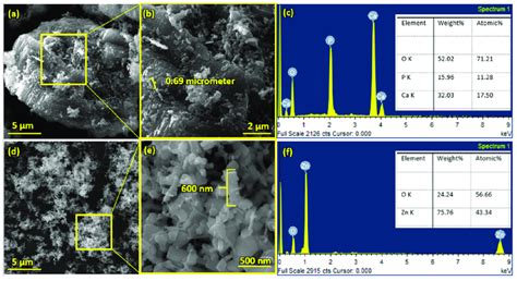 Scanning Electron Microscopy And Eds Of A C Hydroxyapatite Ha