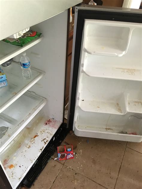 Evictions Of Tenants Linda Cox Schenck Kristen Bratcher Joey Bratcher