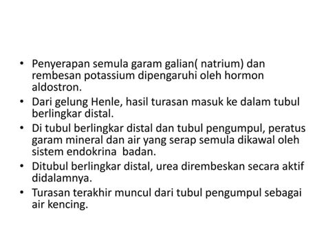 Proses Penghasilan Air Kencing Pptx Proses Penghasilan Air Kencing Pptx