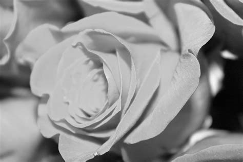 Low Contrast Photography