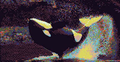 Online Image Dithering Tool Floyd Steinberg Bayer Atkinson And More