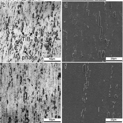 Microstructure Of 7 5 Vol Tibw Near α Ti Composite Deformed At 900 °c Download Scientific