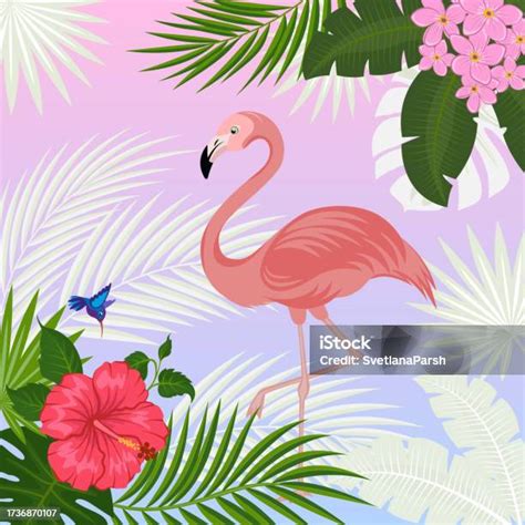 플라밍고 긴 다리와 목을 가진 분홍색 새 열대 꽃 야자수 잎 벌새가 있는 테두리와 배경 클리핑 마스크가 적용되었습니다 홍학에 대한 스톡 벡터 아트 및 기타 이미지 Istock
