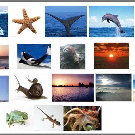 Searching Results Of Associative Thinking Download Scientific Diagram