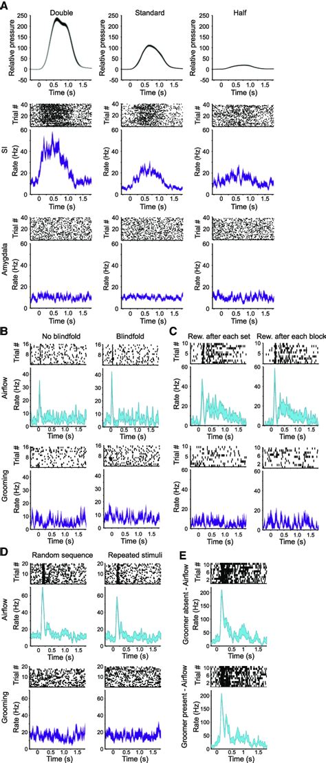 Responses Of Individual Neurons From Control Experiments See Also